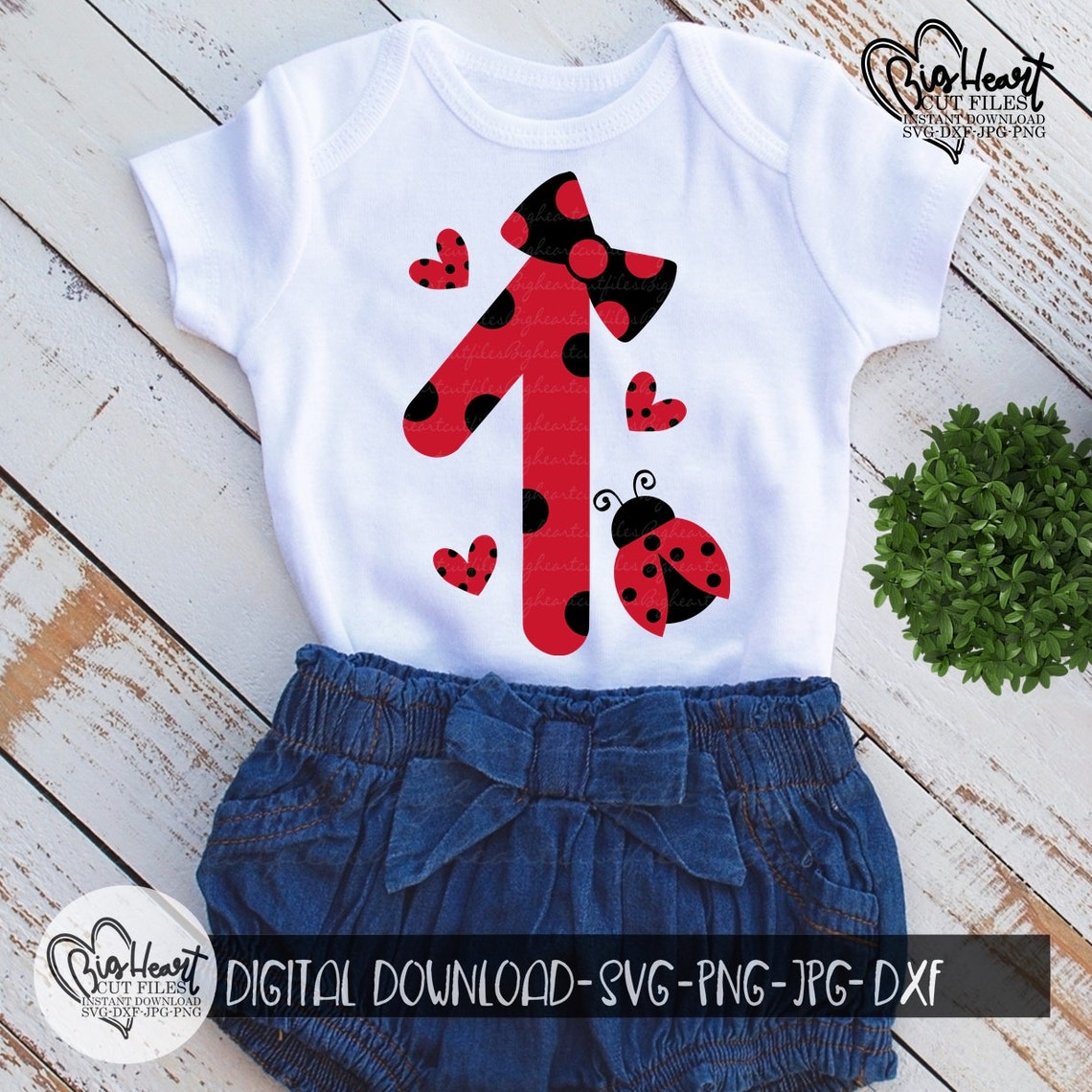 Ladybug 1st Birthday Svg Png Jpg Dxf First Birthday Svg - Etsy