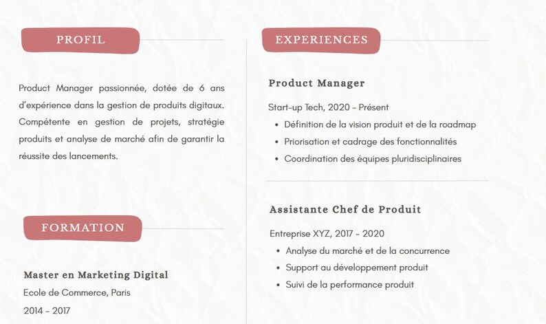 Modern French Woman CV Template - Professional CV Template - Elegant ...