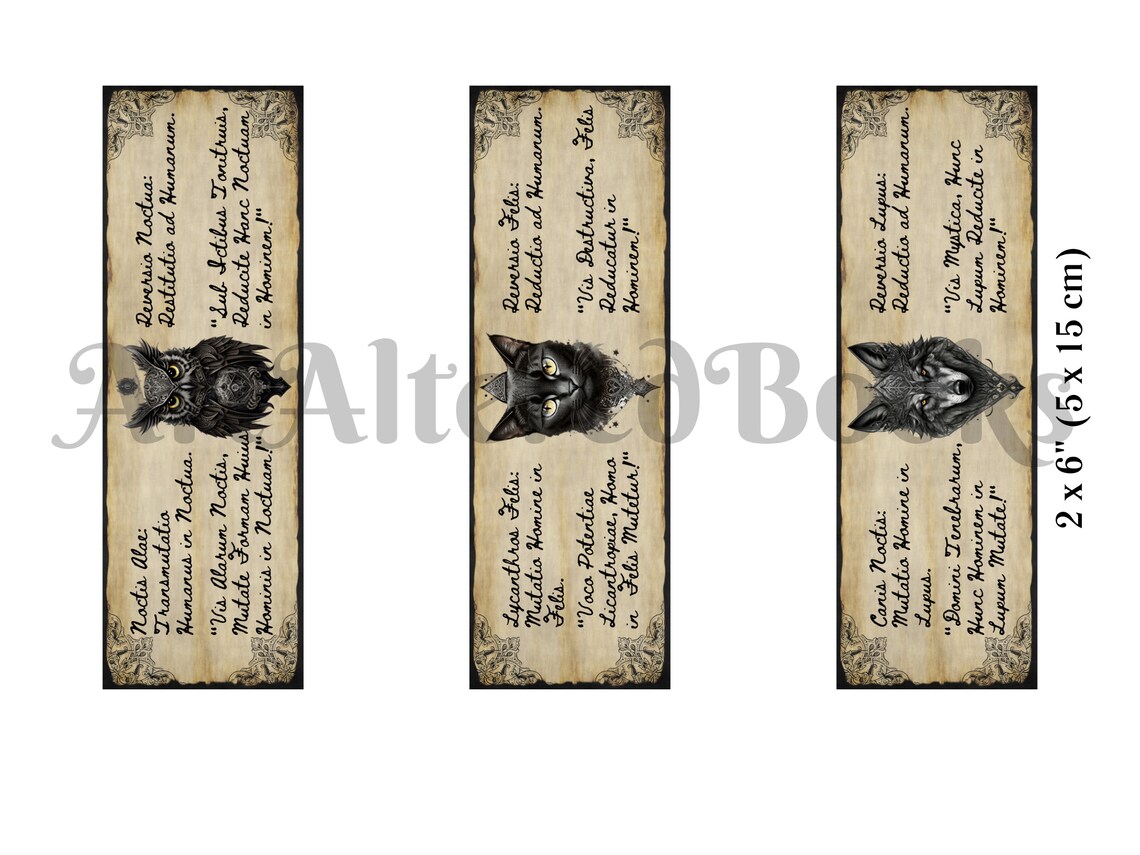 Set of Witchy Bookmarks With Spells in Latin| Dark Magic Bookmark ...