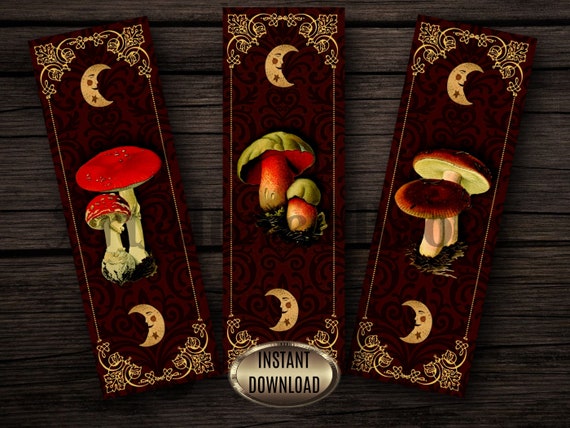 Set of 3 Witchy Mushrooms Bookmarks Fantasy Magic Bookmarks | Etsy