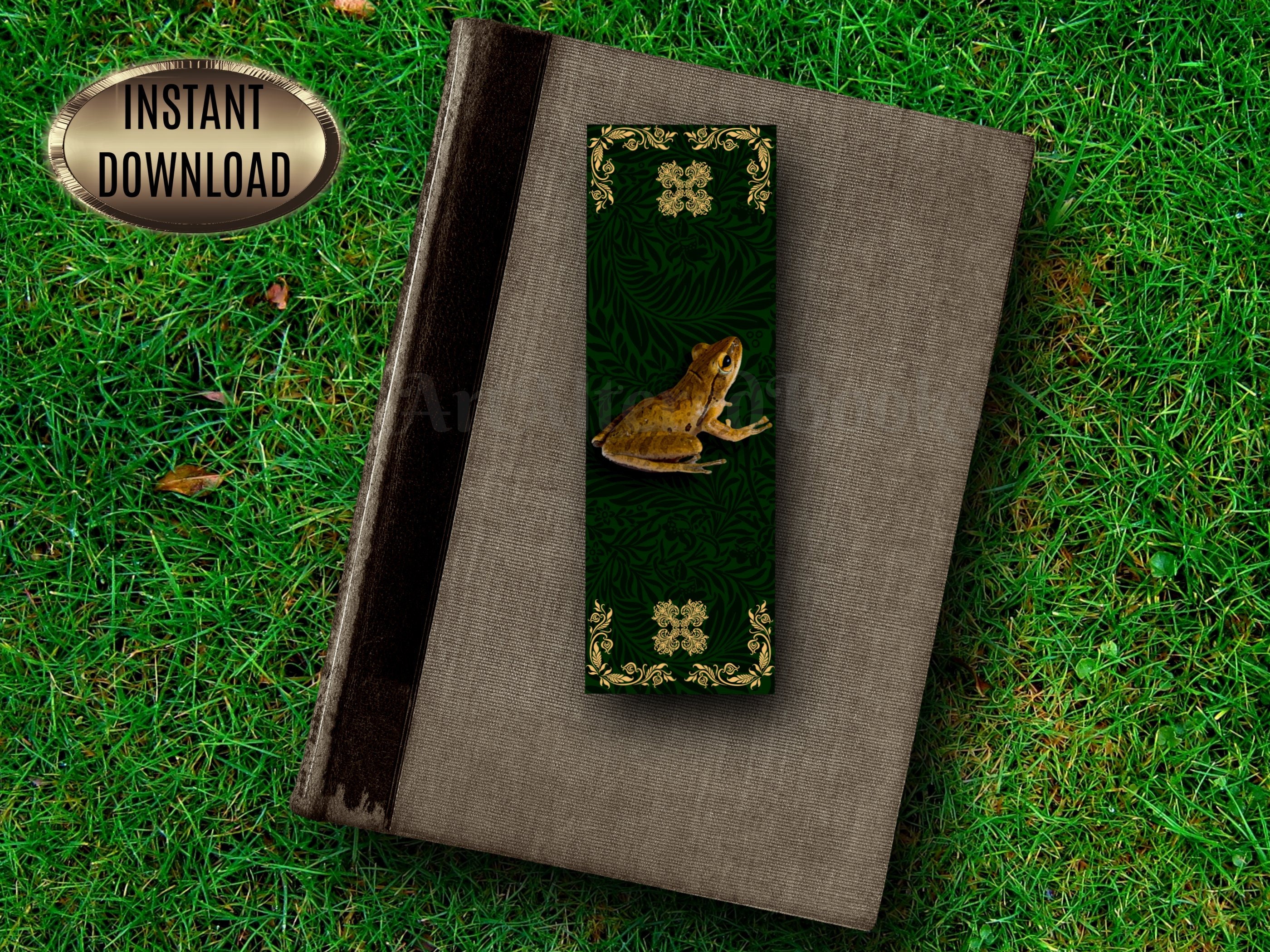 Frog Printable Bookmarks Set Nature Bookmark Journal - Etsy