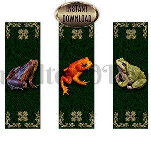 Frog Printable Bookmarks Set| Nature Bookmark| Journal Bookmark| DIY ...