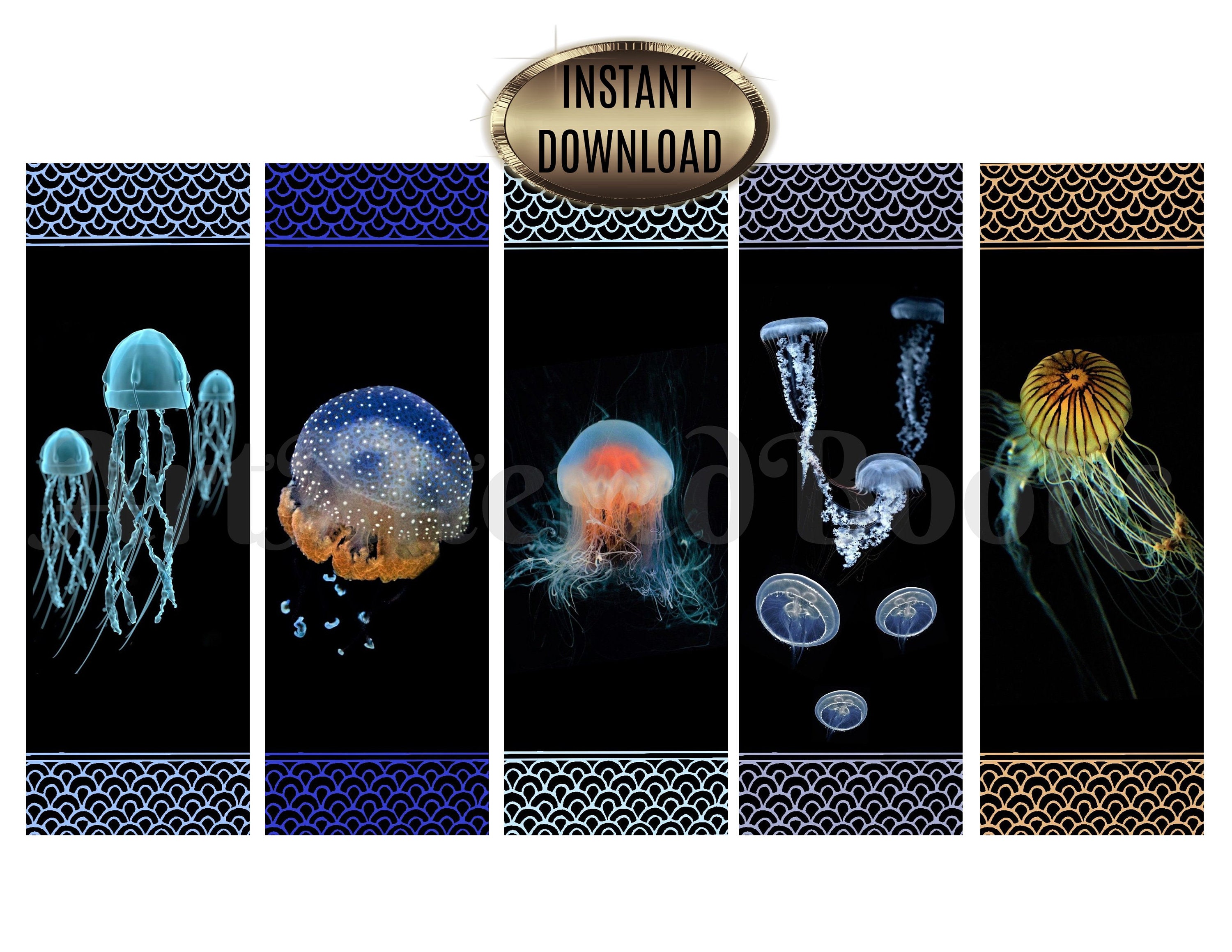 Set of 5 Jellyfish Printable Bookmarks Beach Bookmark Marine Life ...
