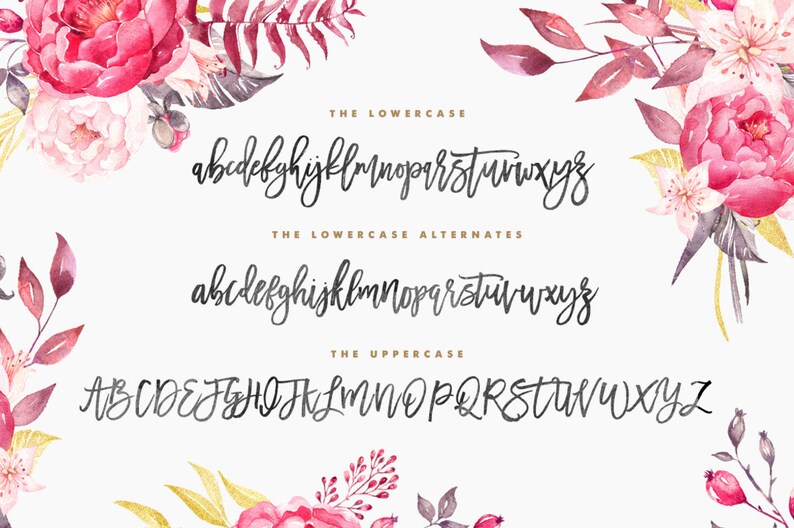 Madina Script - Digital Font, Modern Feminine Brush Calligraphy for ...