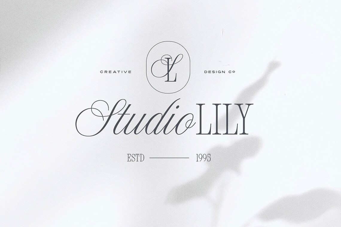 New Icon Script and Serif Fonts - Luxury Premium Script and Retro Serif ...
