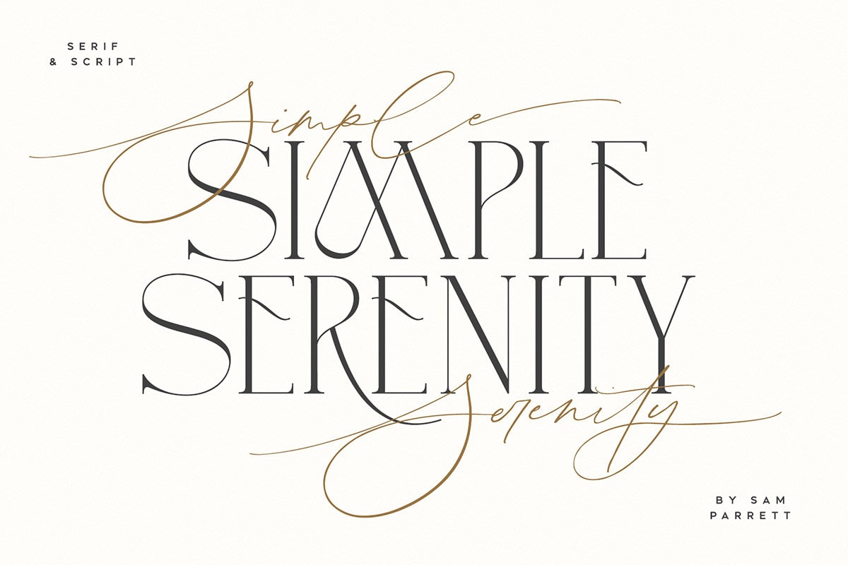 Simple Serenity Font Duo - Digital Serif and Script Fonts, Modern ...
