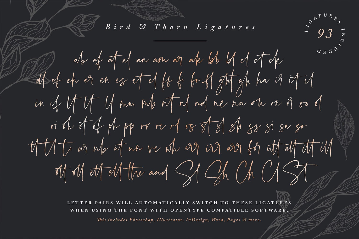 Bird & Thorn Digital Font for Logos Branding Invites - Etsy