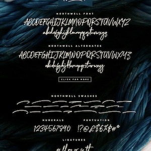 Northwell - Digital Script Font, Rustic, Cool, Modern, Handwriting ...