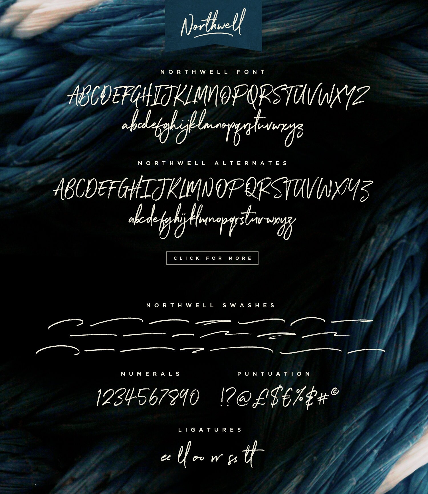 Northwell - Digital Script Font, Rustic, Cool, Modern, Handwriting ...