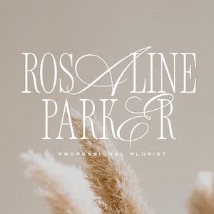 New Icon Script and Serif Fonts - Luxury Premium Script and Retro Serif ...
