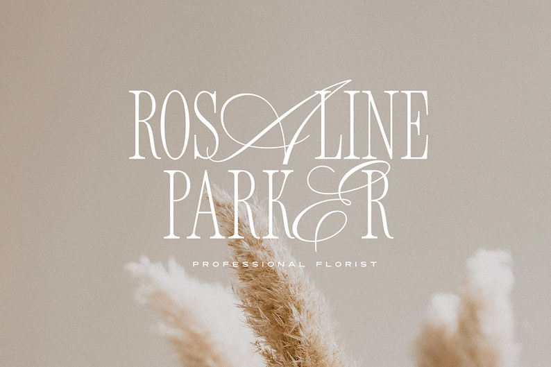 New Icon Script and Serif Fonts - Luxury Premium Script and Retro Serif ...