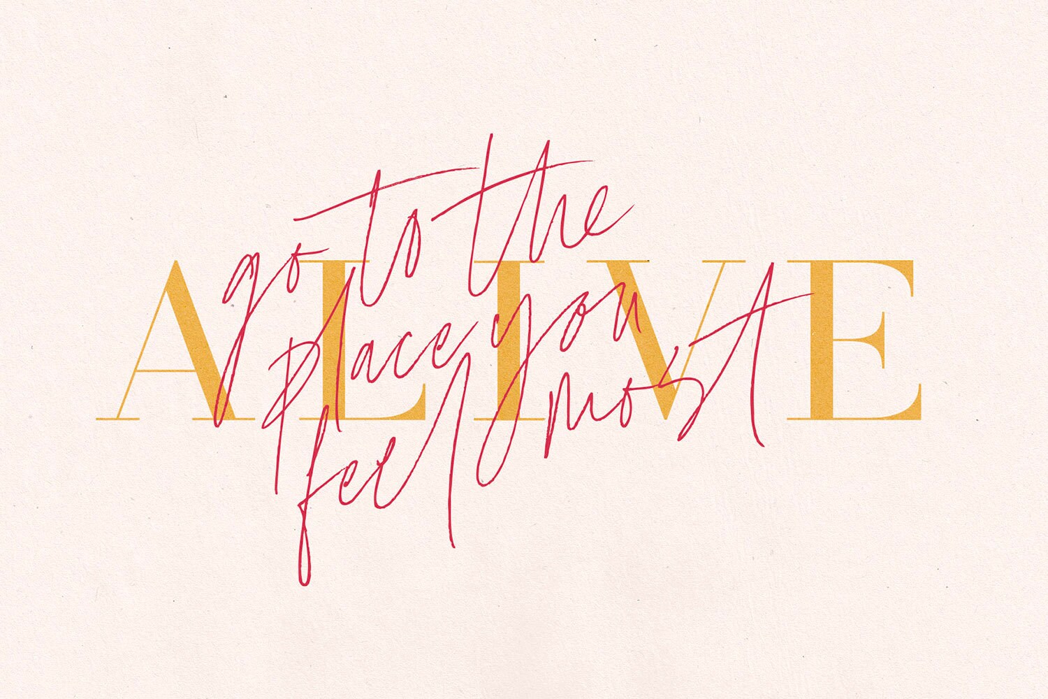 Coral Blush Font Duo - Serif and Script Digital Fonts, Plus Paper ...