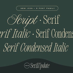 New Icon Script and Serif Fonts - Luxury Premium Script and Retro Serif ...