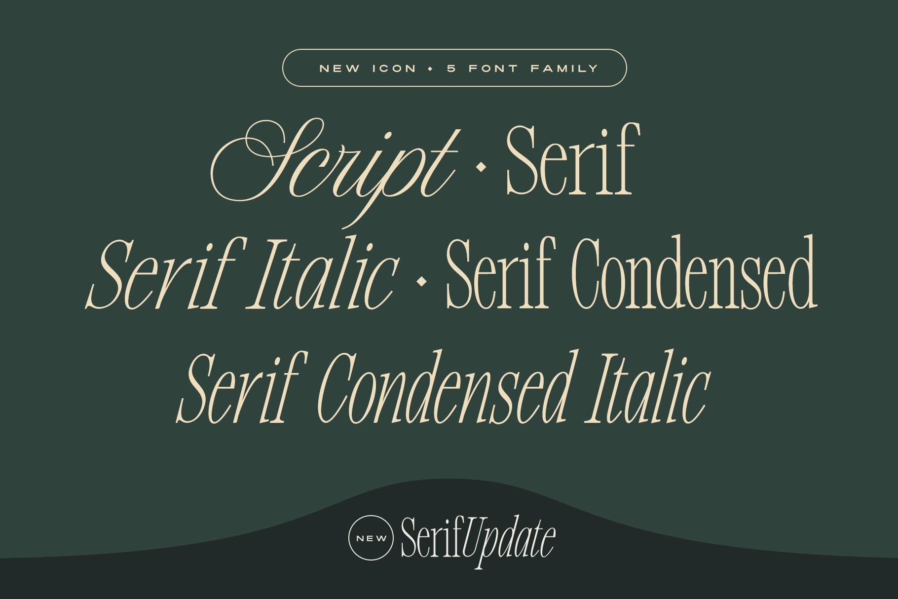 New Icon Script and Serif Fonts - Luxury Premium Script and Retro Serif ...