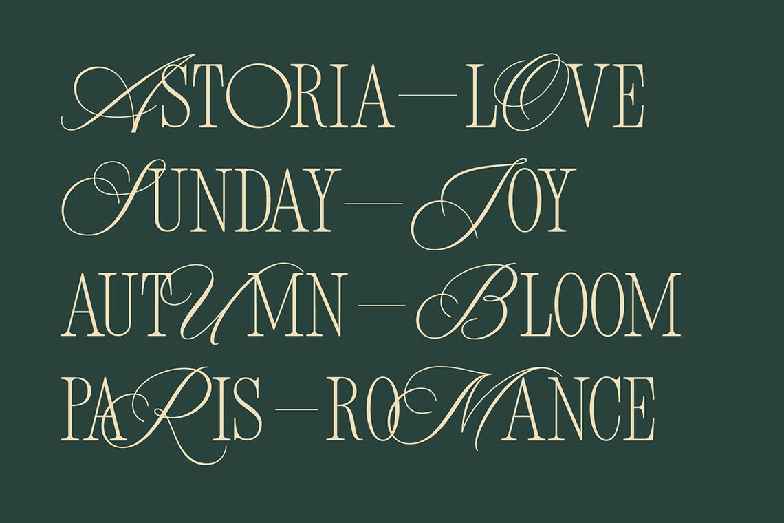 New Icon Script and Serif Fonts - Luxury Premium Script and Retro Serif ...