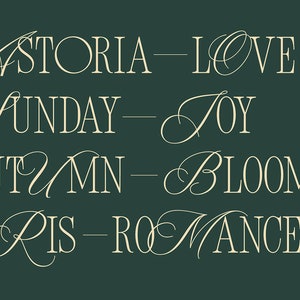 New Icon Script and Serif Fonts - Luxury Premium Script and Retro Serif ...