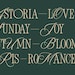 New Icon Script and Serif Fonts - Luxury Premium Script and Retro Serif ...
