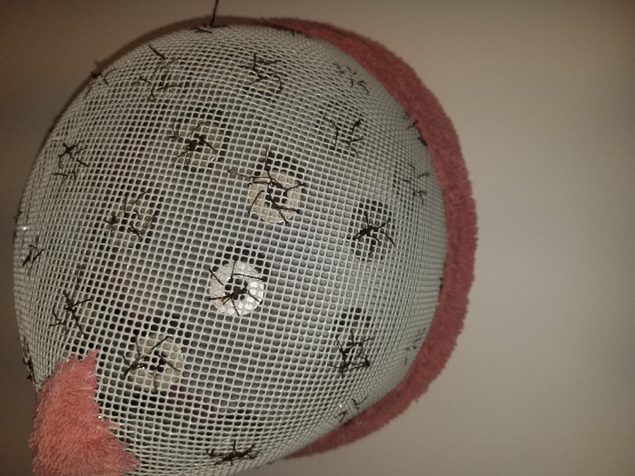 Magneto Man Hat - Etsy