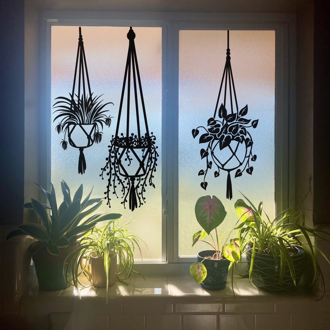 Plant Lover Decals - Hanging Plants - Pathos, Spider, String of Pearls ...