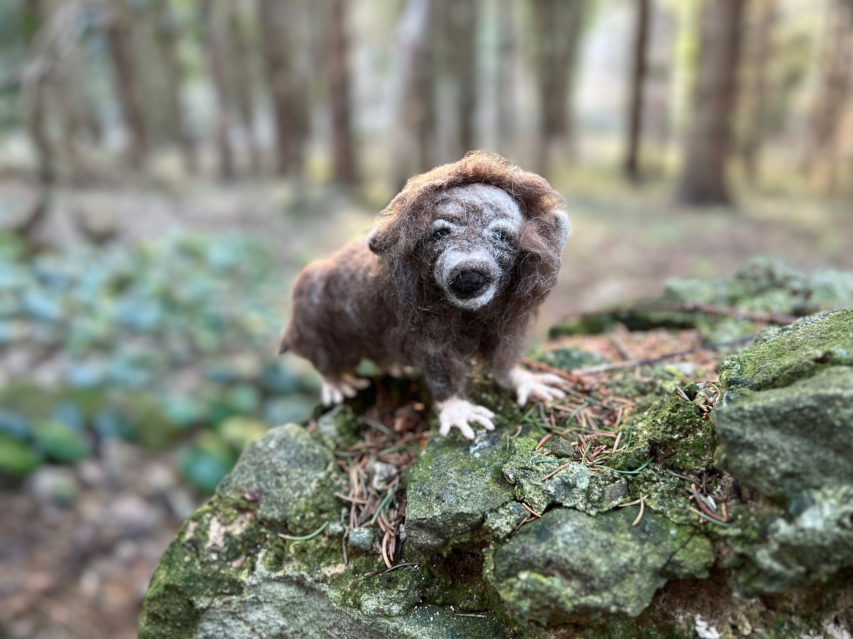 Haggis Animal