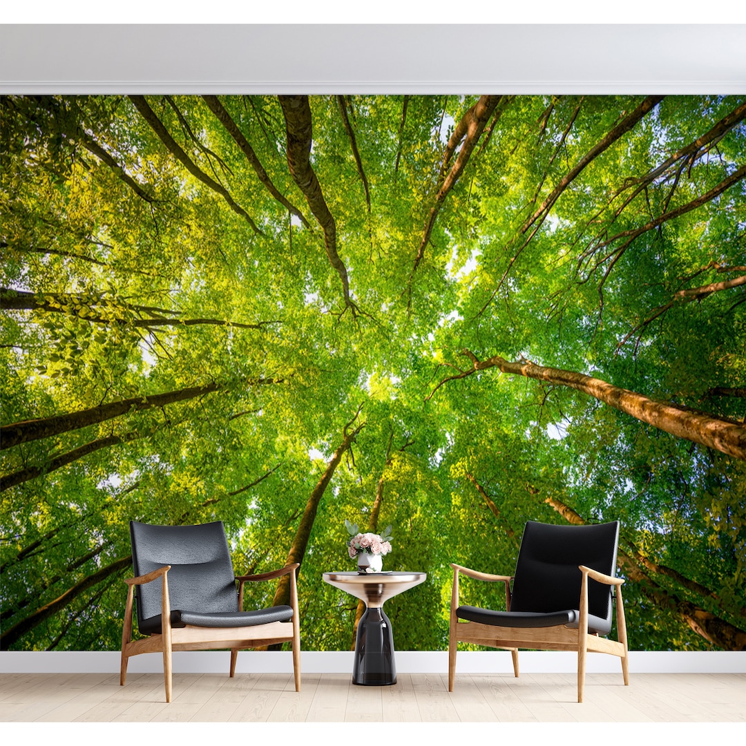 Forest Tree Mural Peel and Stick Wallpaper Sunny Green Trees Wallpaper ...