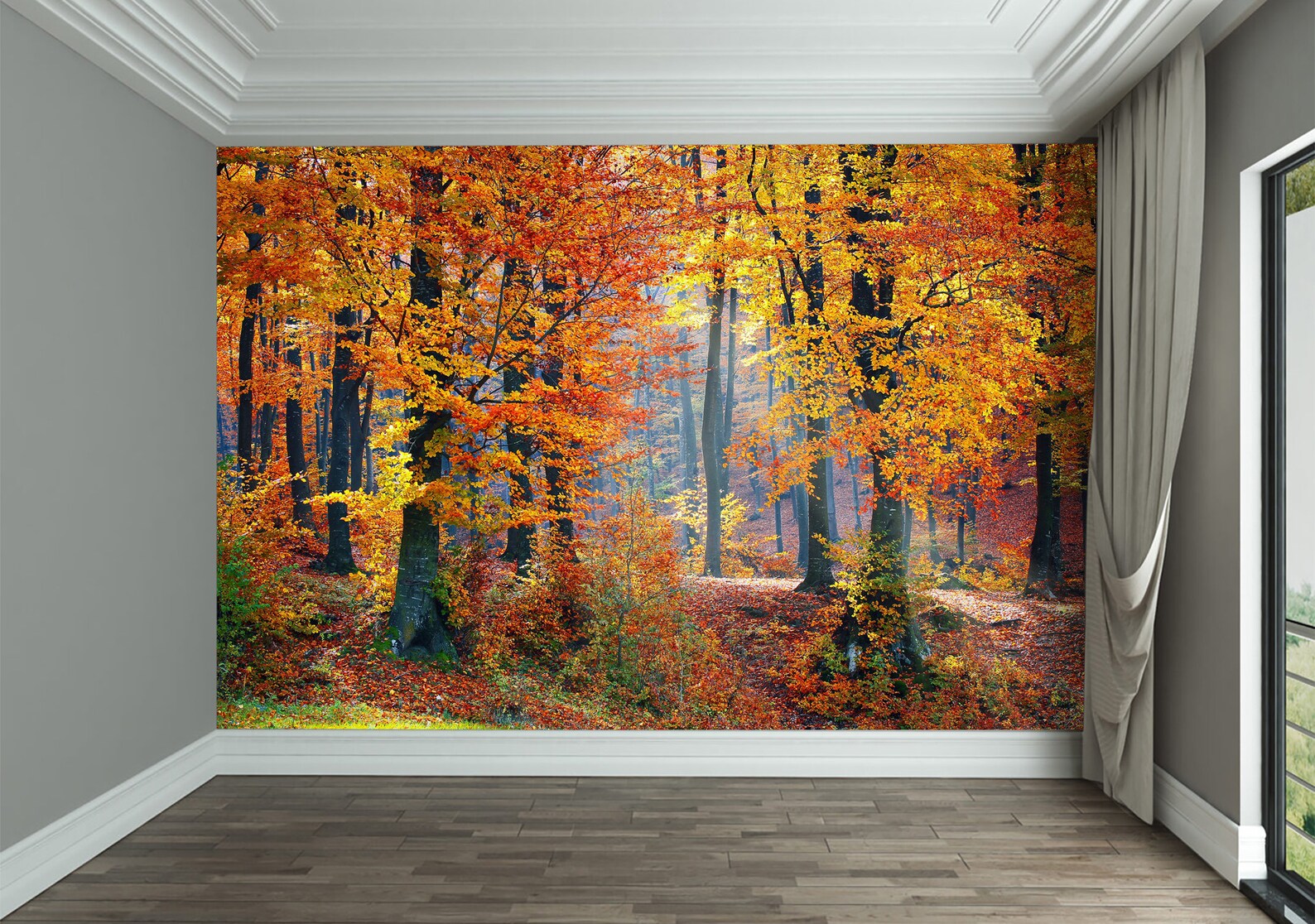 Autumn Forest Wall Mural Peel N Stick Nature Wallpaper Office - Etsy