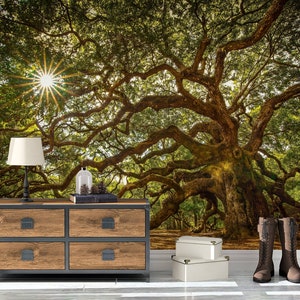 Old Oak Tree Vinyl Wallpaper Forest Wall Mural Landscape Peel and Stick ...