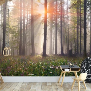 Morning Misty Forest Wall Mural Wallpaper Peel and Stick or Traditional ...