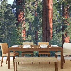 Sunny Forest Trees Wall Mural Wallpaper Peel and Stick Sequoia National ...