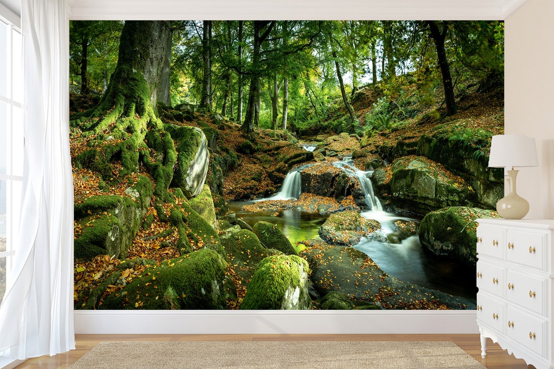 Forest Stream Waterfalls Wall Mural Nature Landscape Photo | Etsy