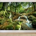 Forest Stream Waterfalls Wall Mural Nature Landscape Photo Wallpaper ...
