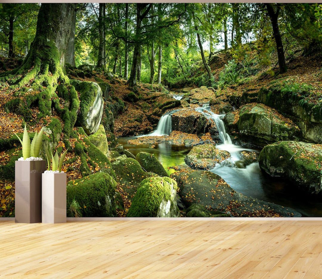 Forest Stream Waterfall Mural, Peel and Stick Photo Wallpaper - Etsy