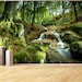 Forest Stream Waterfalls Wall Mural Nature Landscape Photo Wallpaper ...