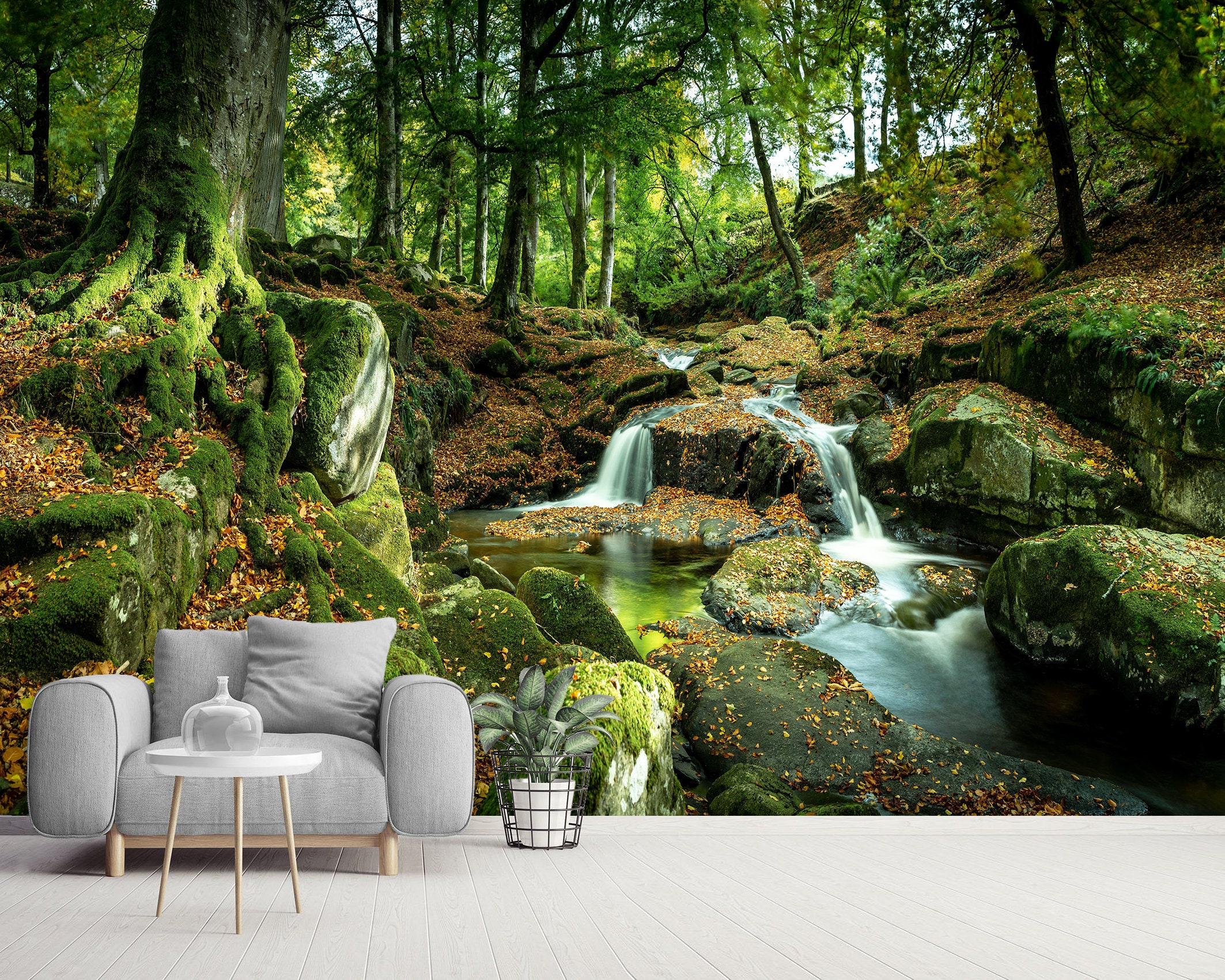 Forest Stream Waterfalls Wall Mural Nature Landscape Photo - Etsy Canada