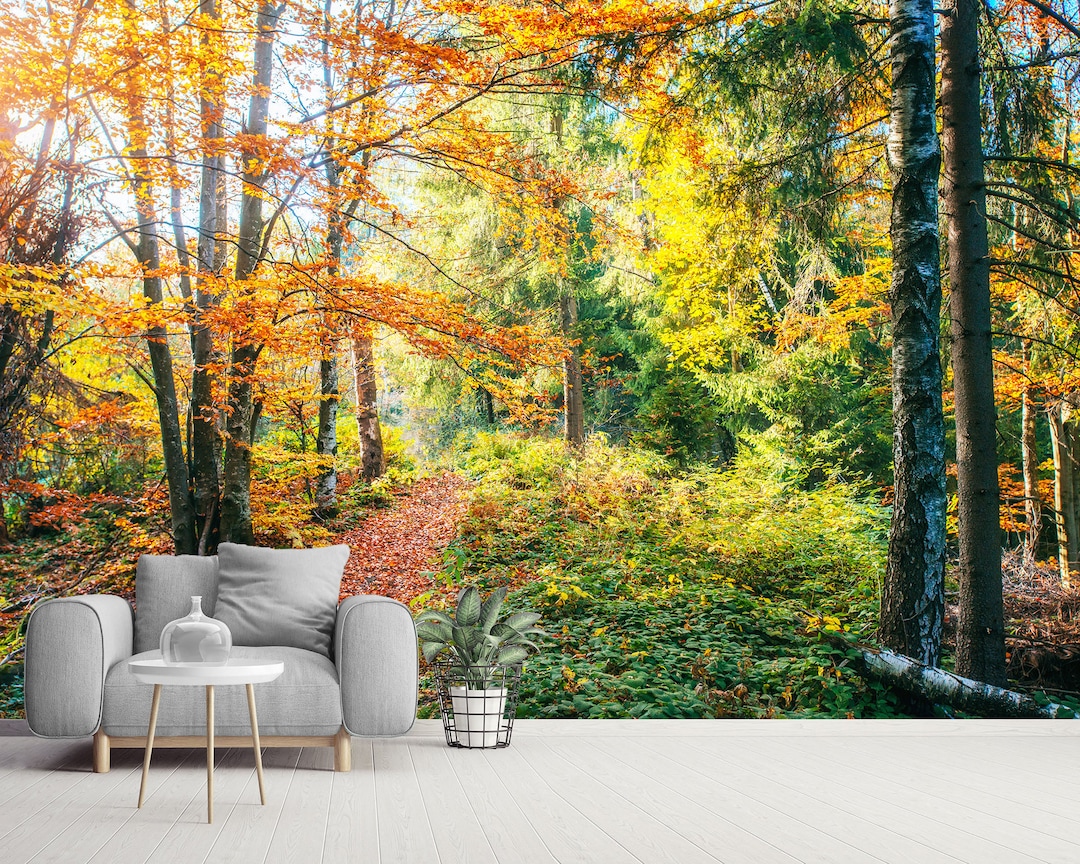 Autumn Woodland Wallpaper Mural Sunny Foliage Wall Print - Peel and ...