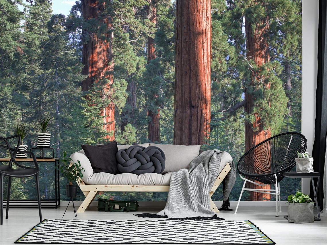 Redwood Forest Trees Wall Mural Wallpaper Peel and Stick Sequoia ...