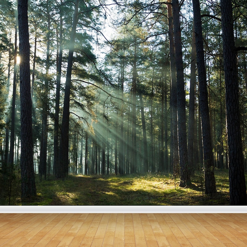 Galaxy Wallpaper Forest - Etsy UK