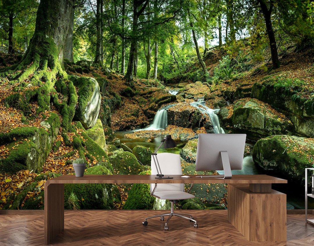 Forest Stream Waterfalls Wall Mural Nature Landscape Photo Wallpaper ...