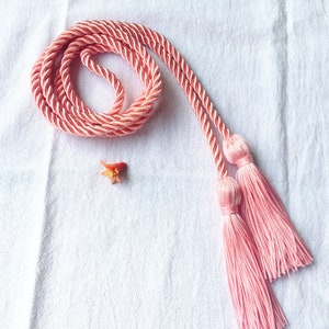 10 Colors Available Graduation Honor Cord 2026, 10 Colors (light Blue ...