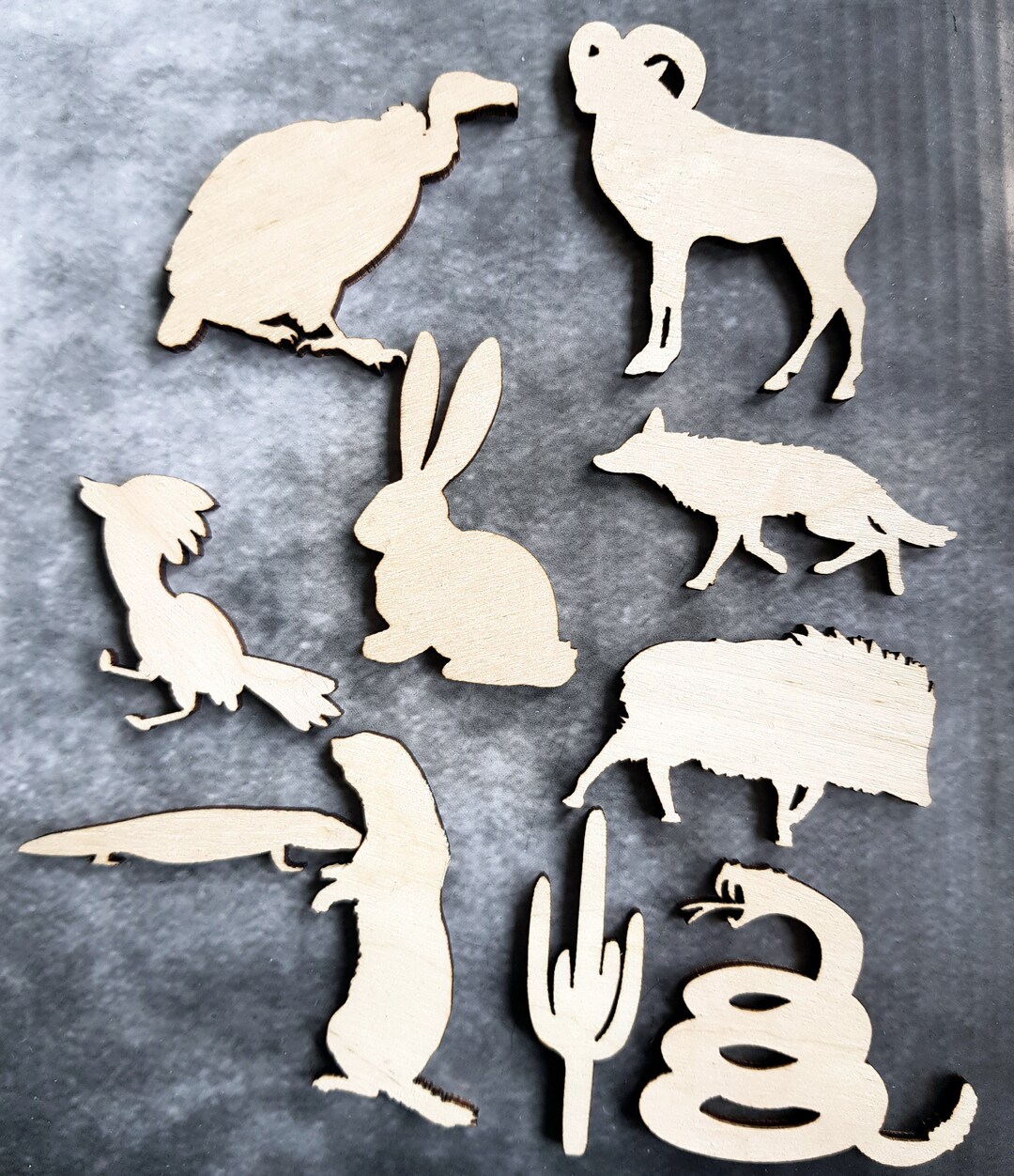 Wooden Animal Shapes Sonoran Desert Cut Outs Wood Crafts Decoration DIY ...