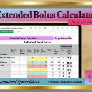 Extended Bolus Calculator for Fat and Protein - Etsy