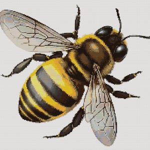 Bee Cross Stitch Pattern PDF, Cute Embroidery Design, Insect Digital ...