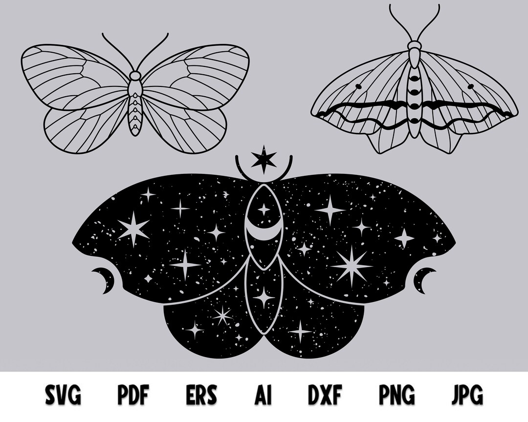 Moth Svg Butterfly Svg Silhouette Clipart Insects Art Svg Cute Bugs Svg ...