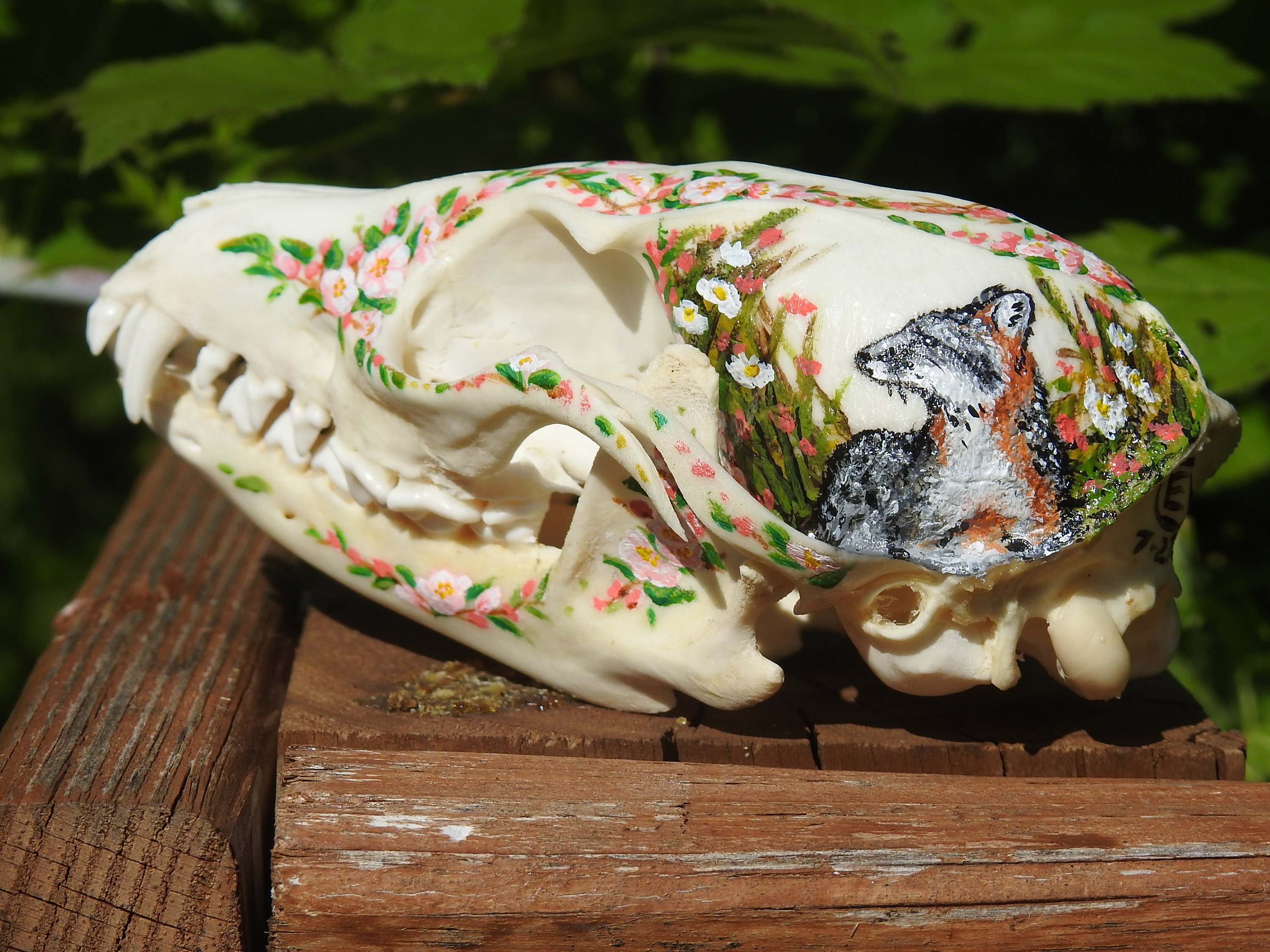 Painted Gray Fox Skull apple Blossoms and Wildflowers - Etsy