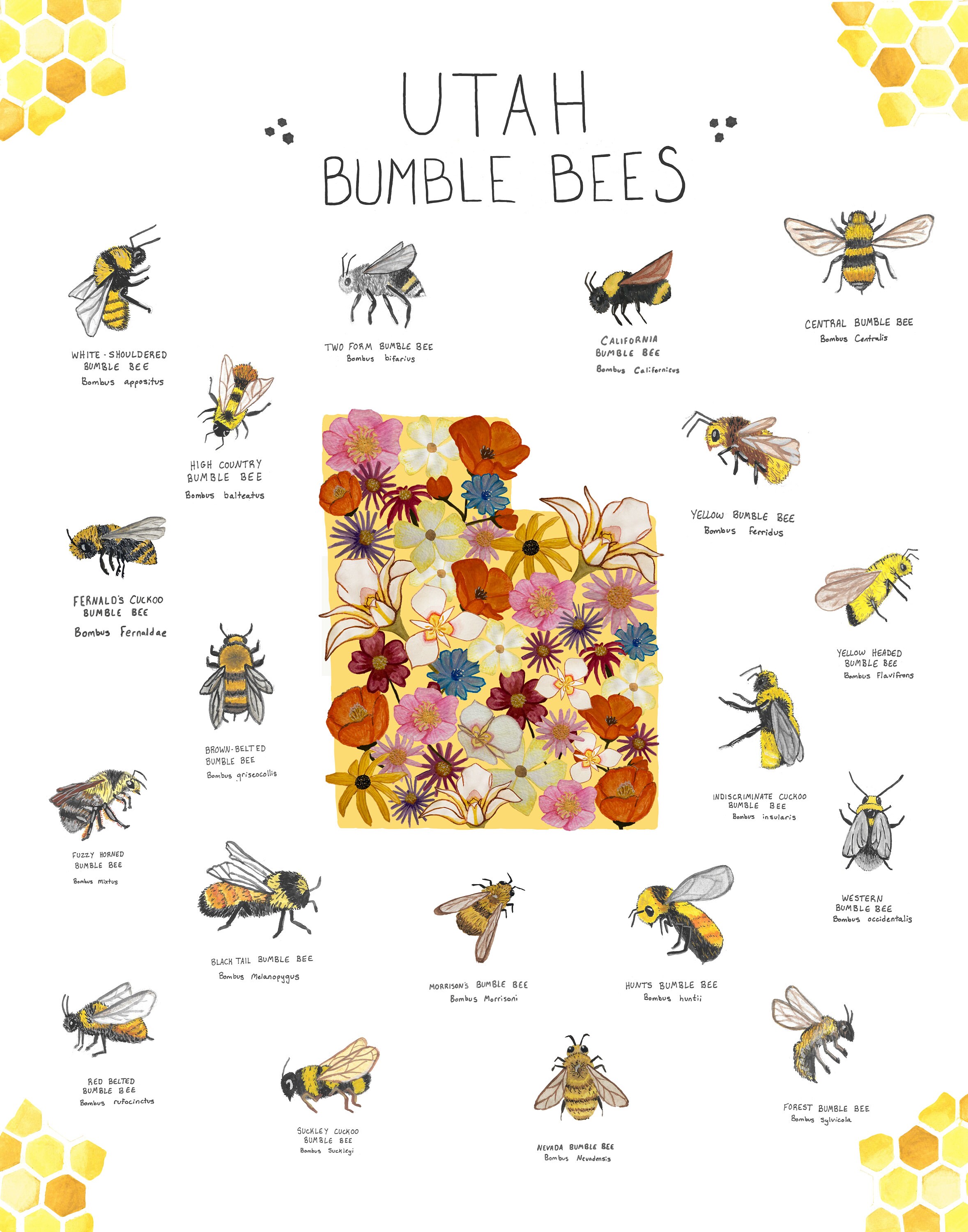 Utah Bumble Bees Poster - Wildflowers - Watercolor Print - Utah Art ...