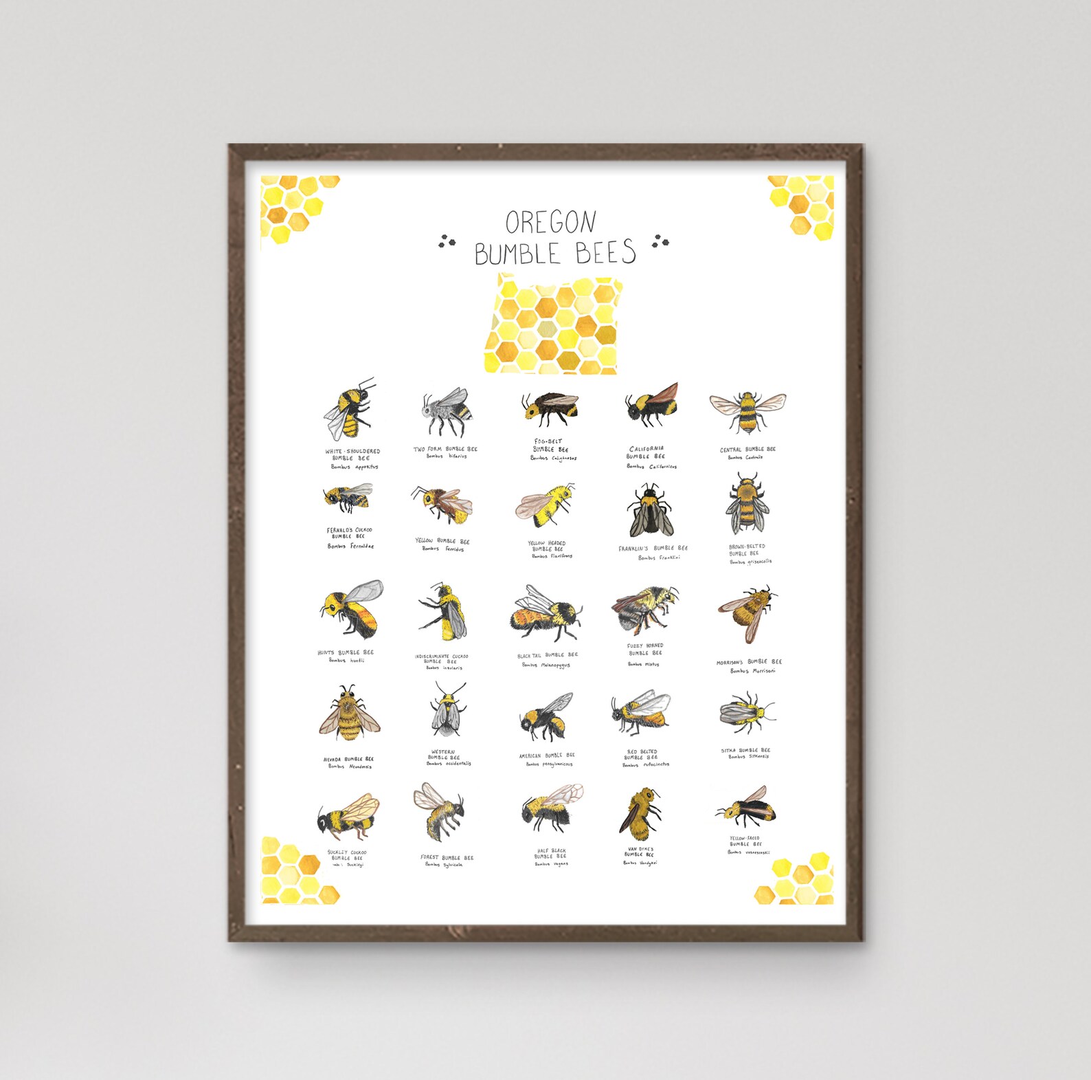 Oregon Bumble Bees Poster Watercolor Print Bee Keeper Gifts Oregon Art ...