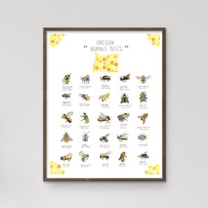 Oregon Bumble Bees Poster- Watercolor Print- Bee Keeper Gifts- Oregon ...