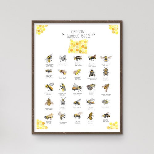 Oregon Bumble Bees Poster Watercolor Print Bee Keeper Gifts - Etsy