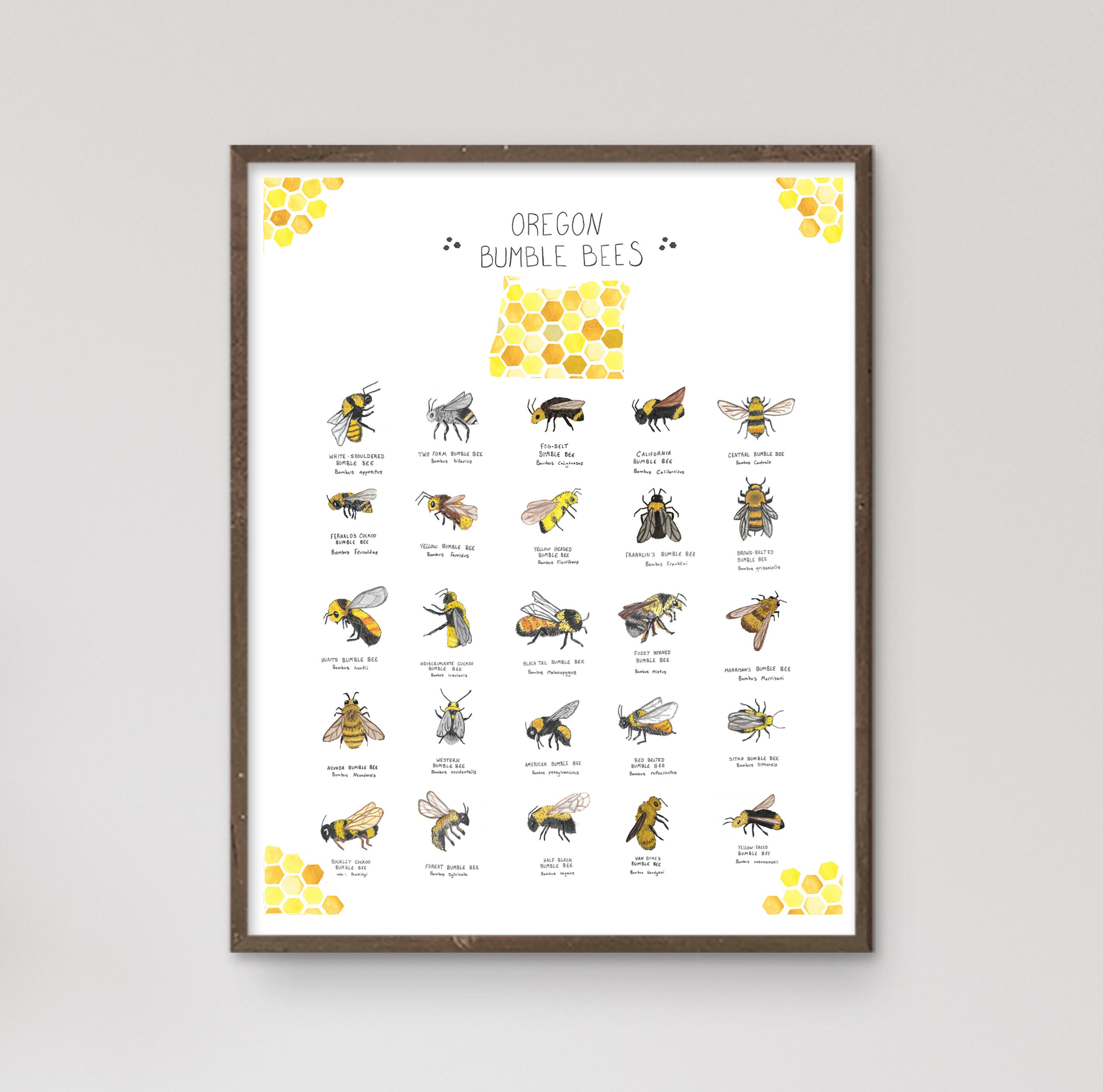 Oregon Bumble Bees Poster Watercolor Print Bee Keeper Gifts Oregon Art ...