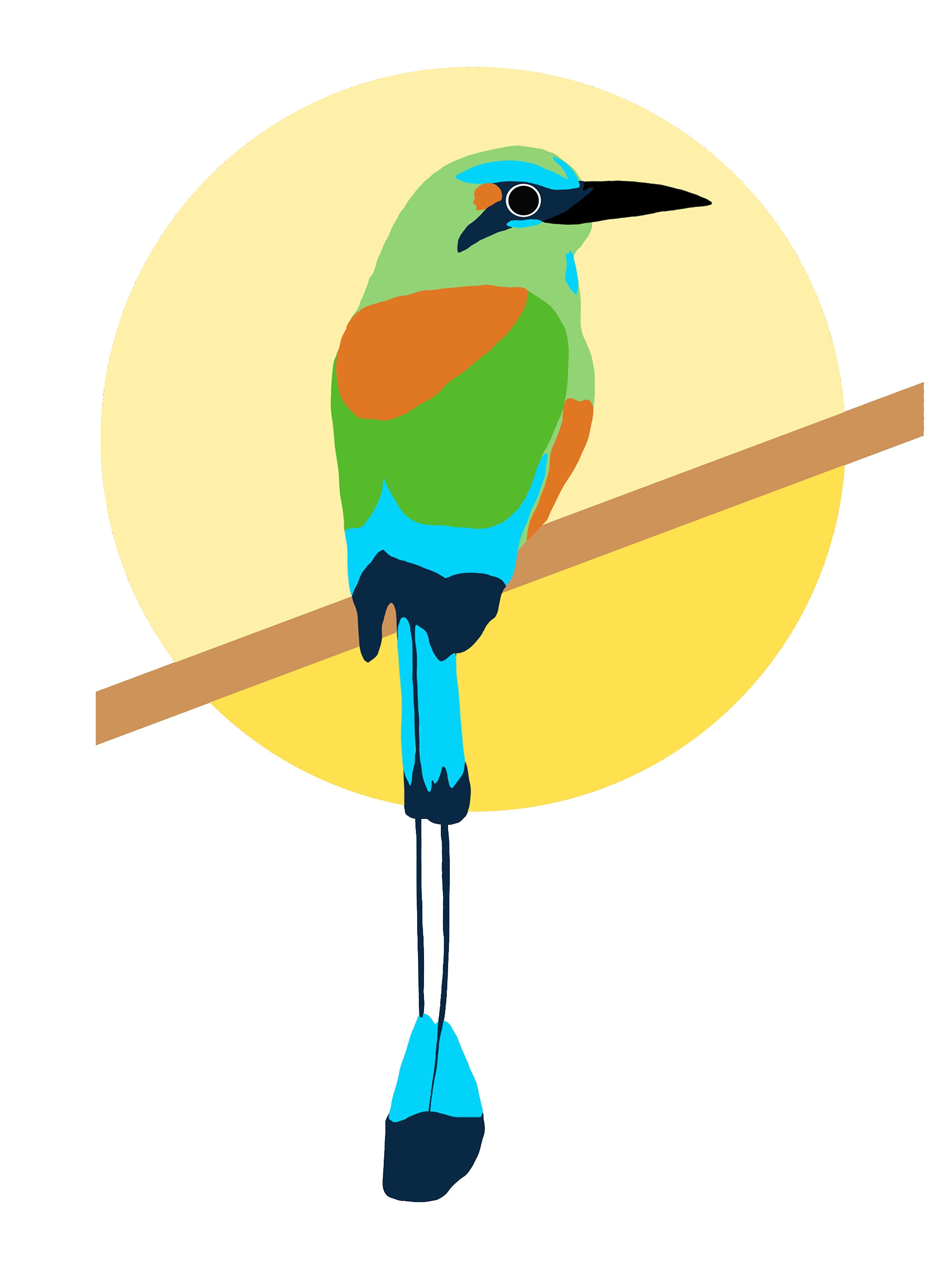 Motmot Poster - Tropical Bird Poster Print - Etsy